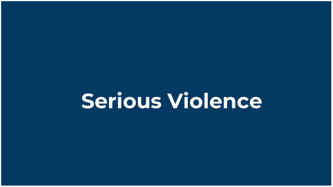 Serious Violence overview and description